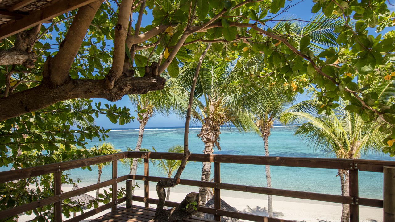 Breakfast in a Tree House - LUX* Le Morne